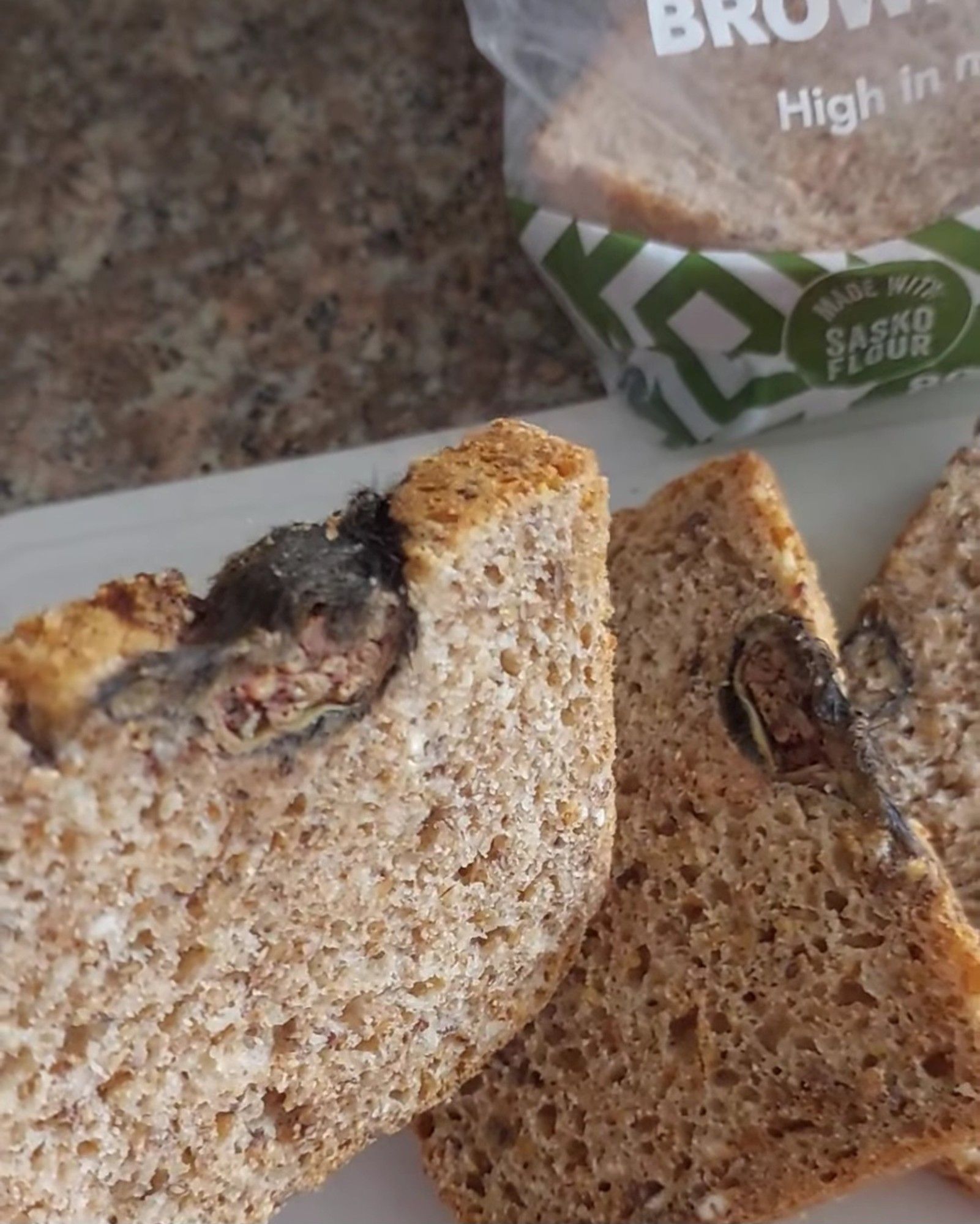 WATCH: Woman discovers rat remains in loaf of Sasko bread, PepsiCo SA ...