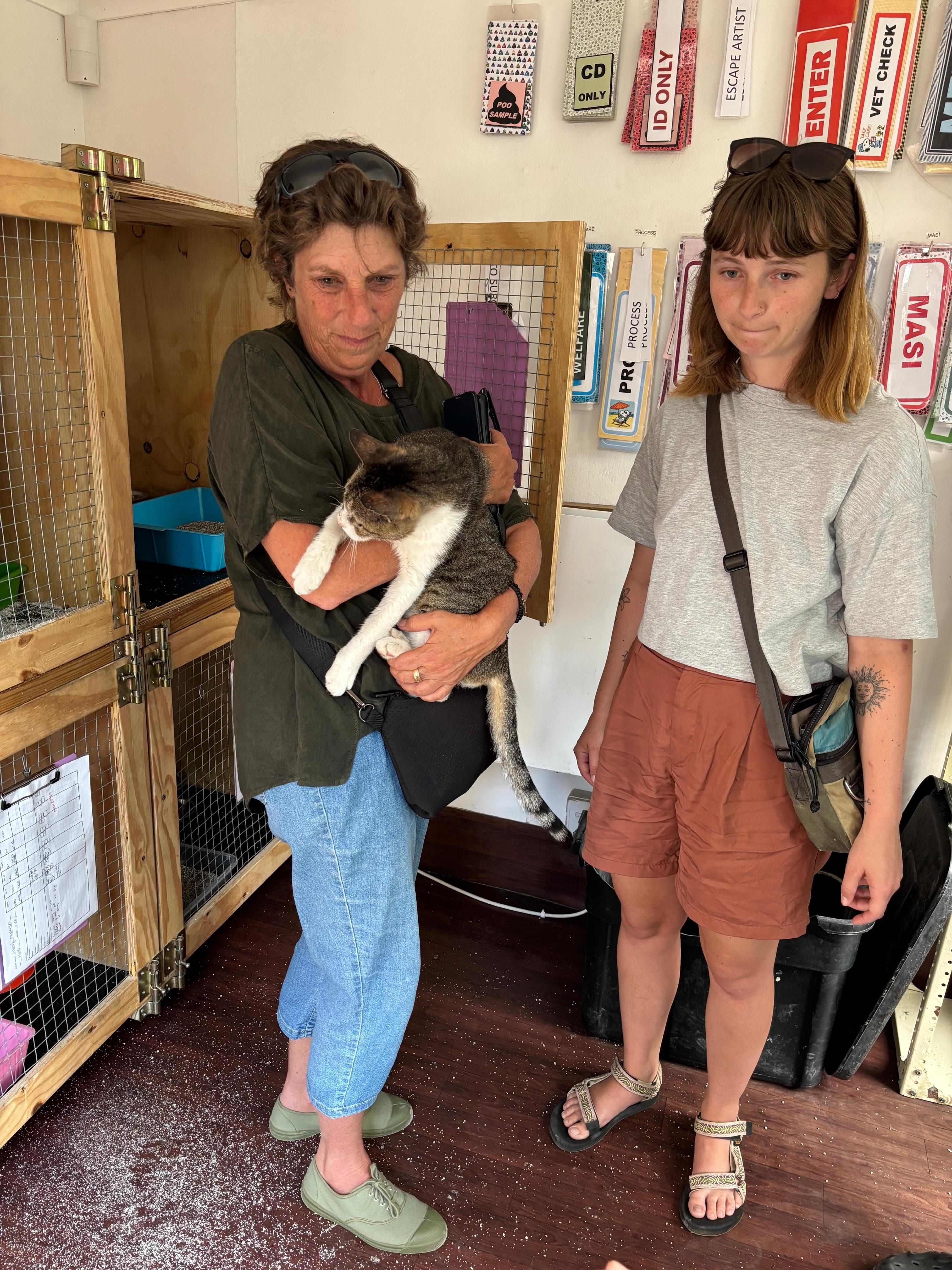 Microchip miracle: Lost Dubai cat found after 7 years in Cape Town