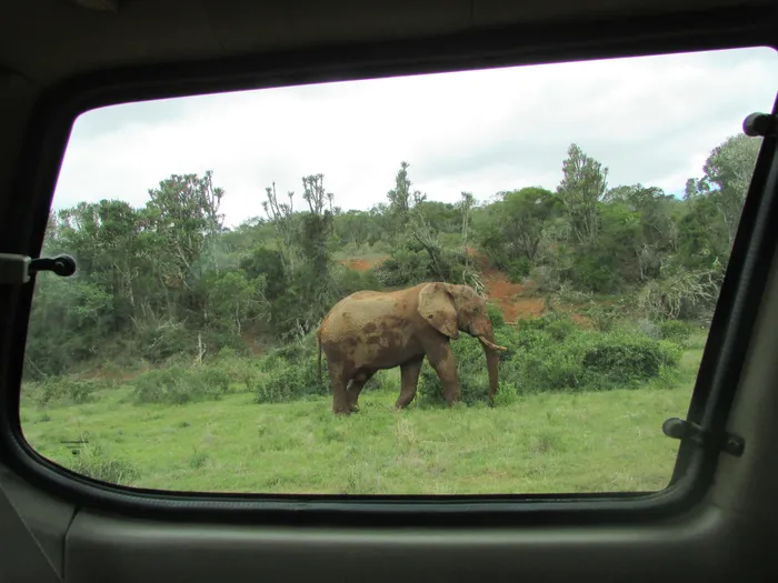 SA National Parks Week postponed to November 2021 due to Covid-19 cases