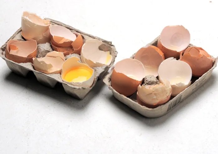 Free range eggs ‘not any healthier’