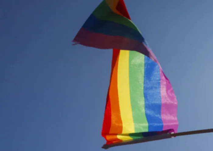 Gay couple to fight for surrogate baby