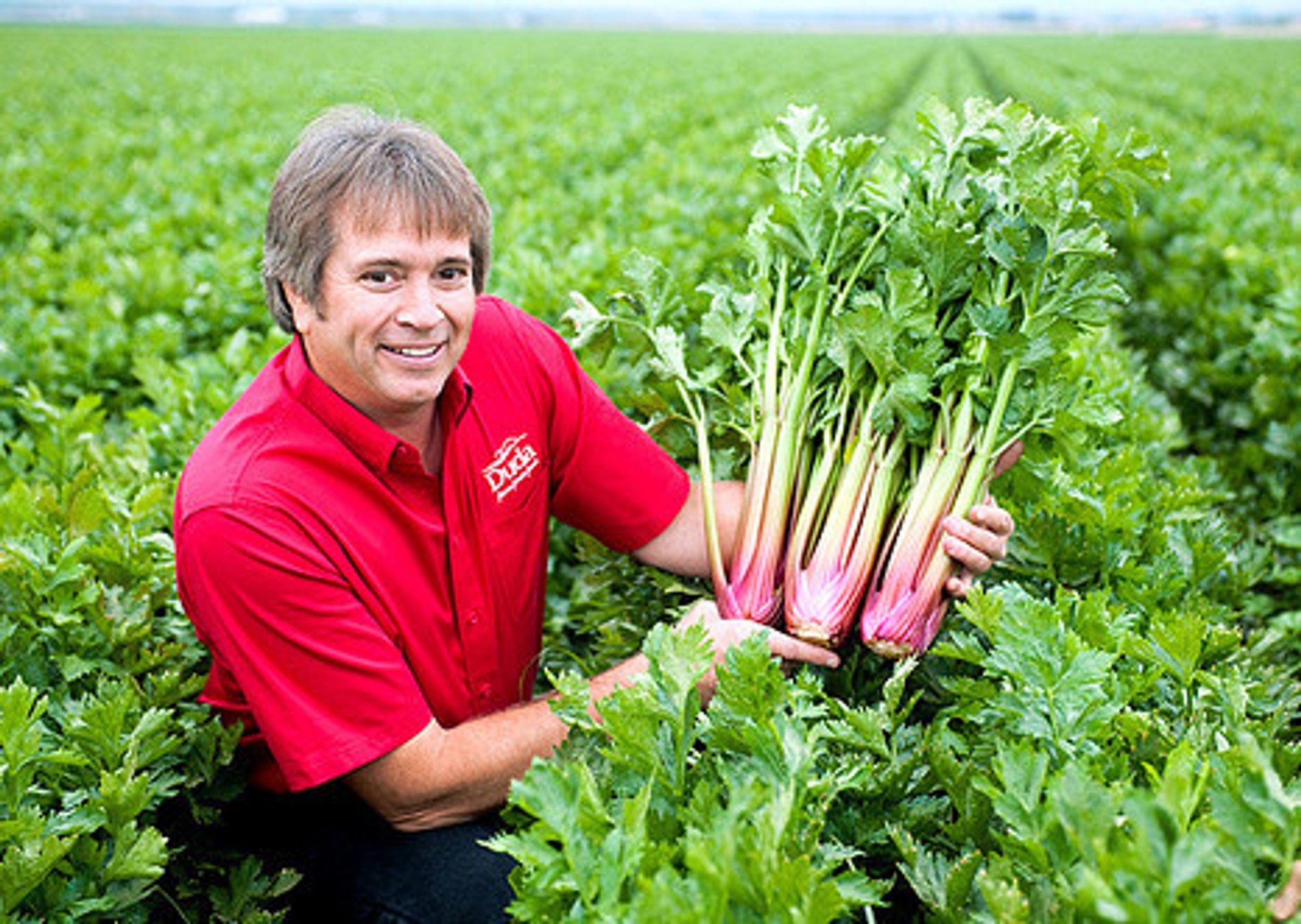 Red celery unveiled