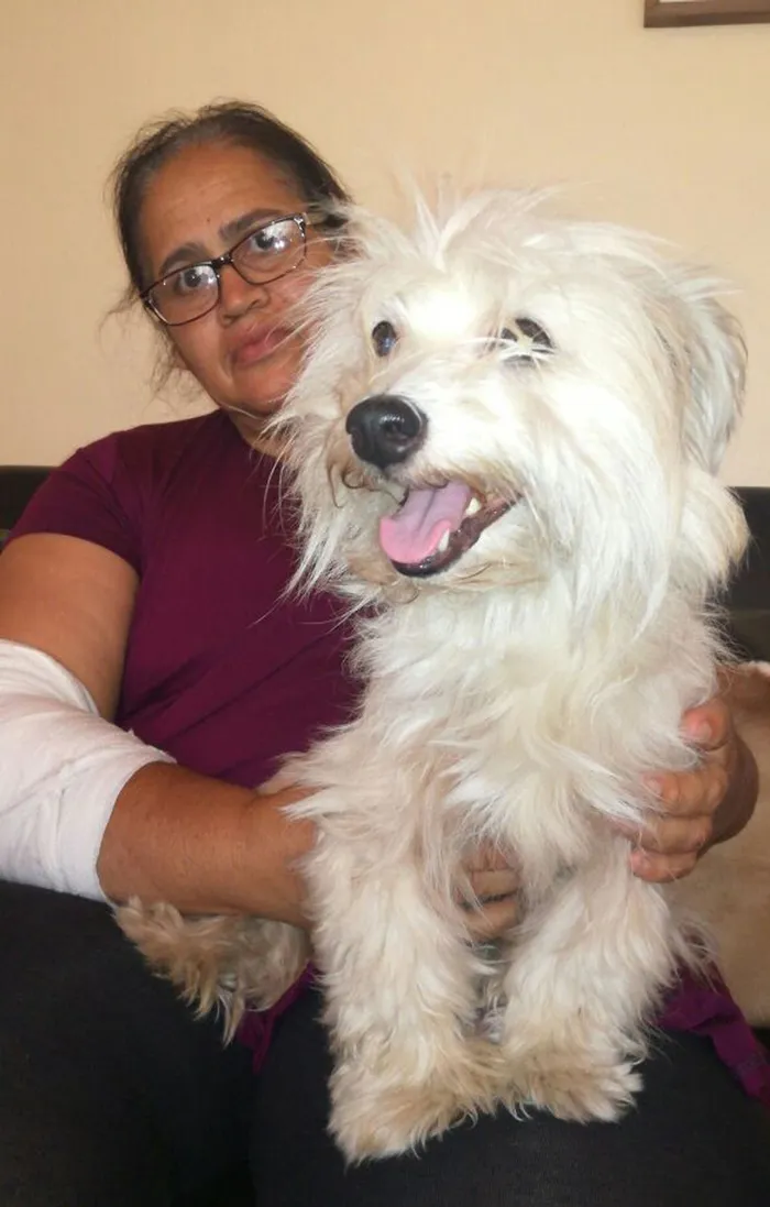 Pepper to the rescue: Half-blind pooch saves owner from Wendy house fire