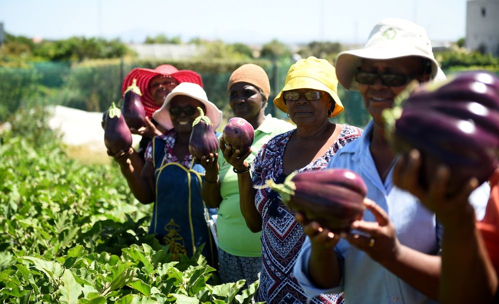 A Dry Season – Food Security in South Africa
