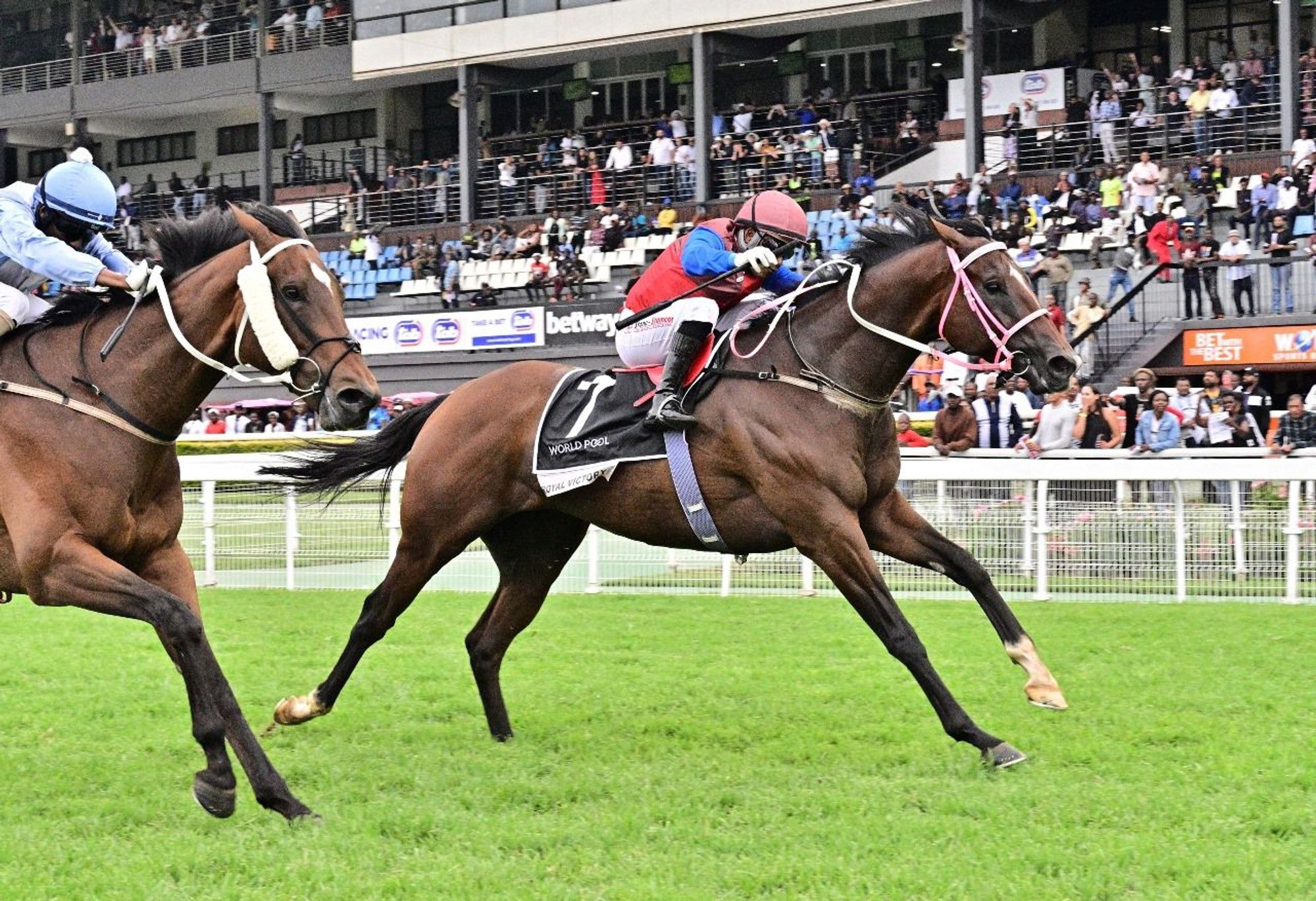Racing operator 4Racing announces sweeping changes