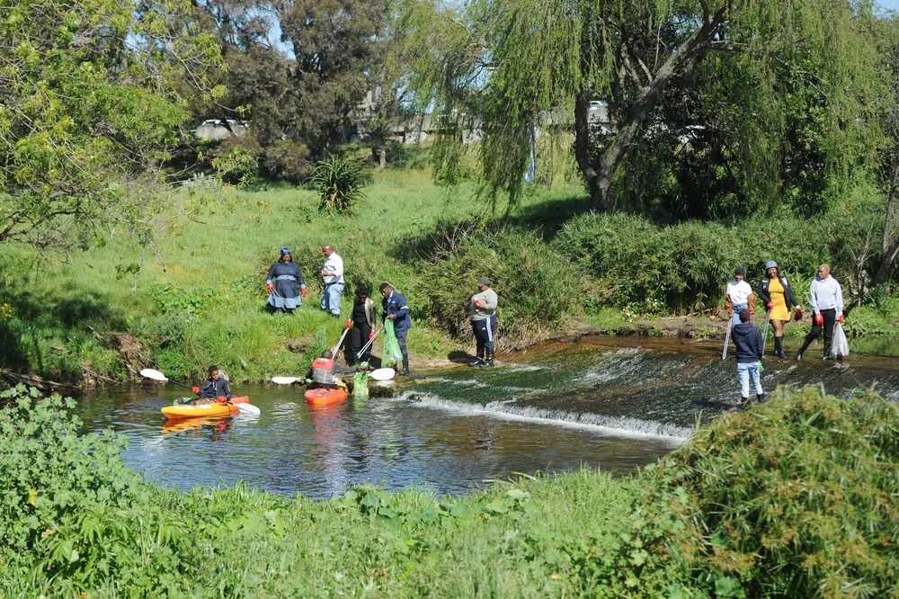 Liesbeek River clean-up shines light on river pollution for World ...