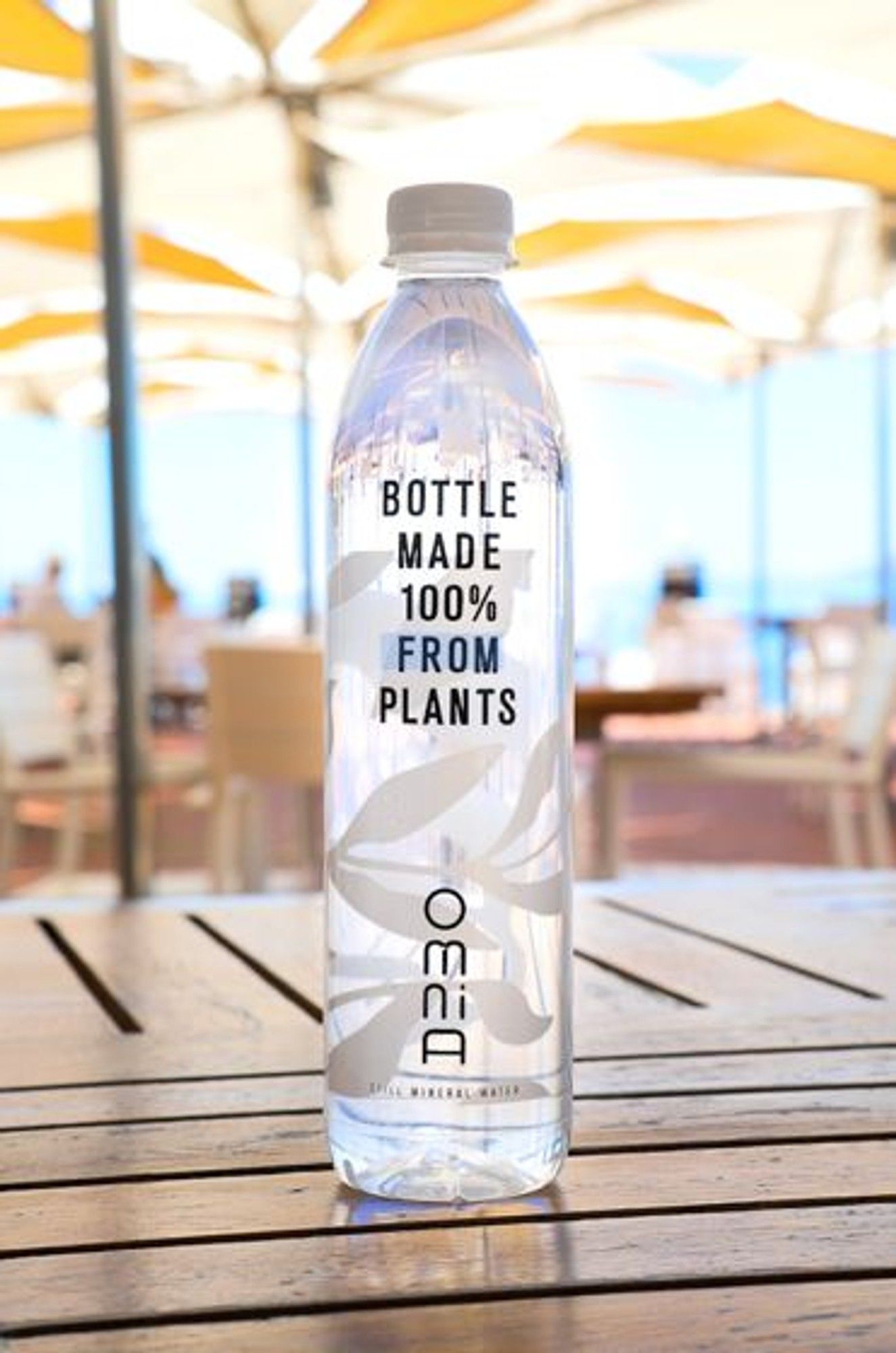 Fortis X launches Africa’s first biodegradable plant-based packaging in ...