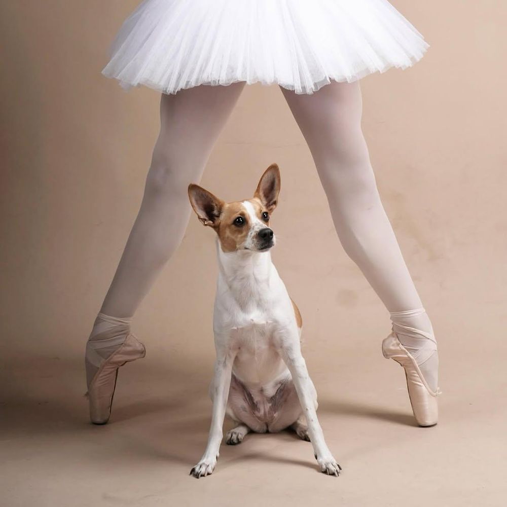 Experience the magic of dance and comedy in Durban: unmissable shows ...