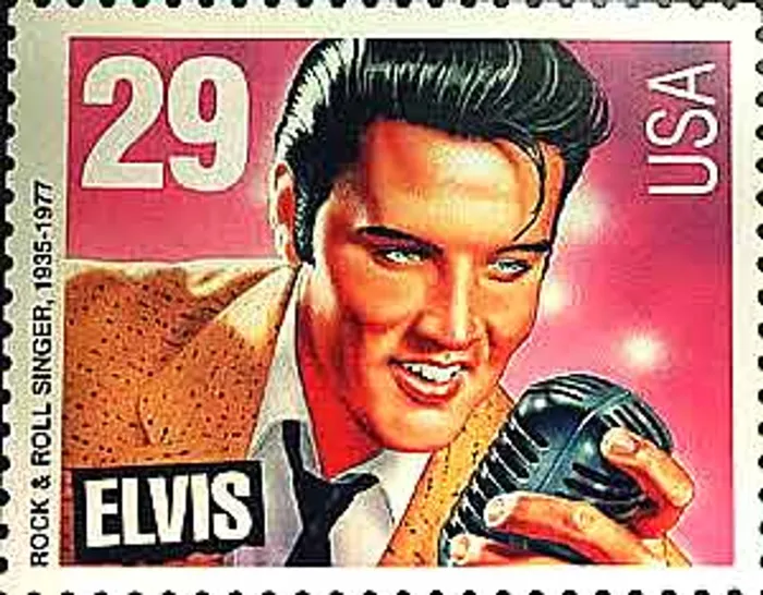 Elvis: pop's top fashion guru
