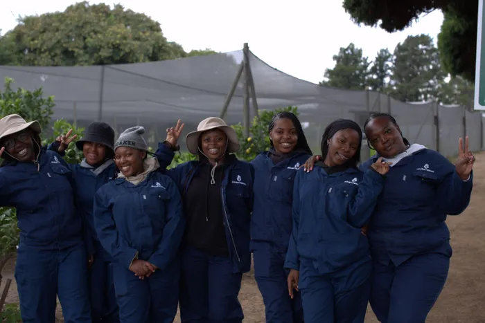 Afrika Tikkun calls for early intervention to tackle South Africa’s 61% ...