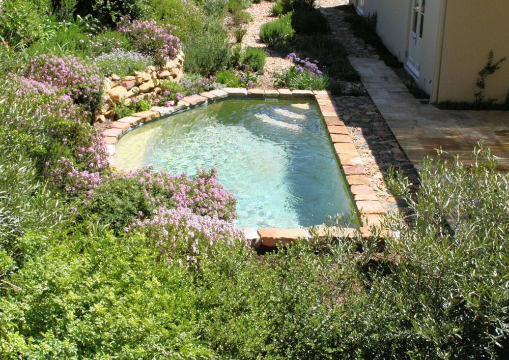 On the wild side with natural fynbos