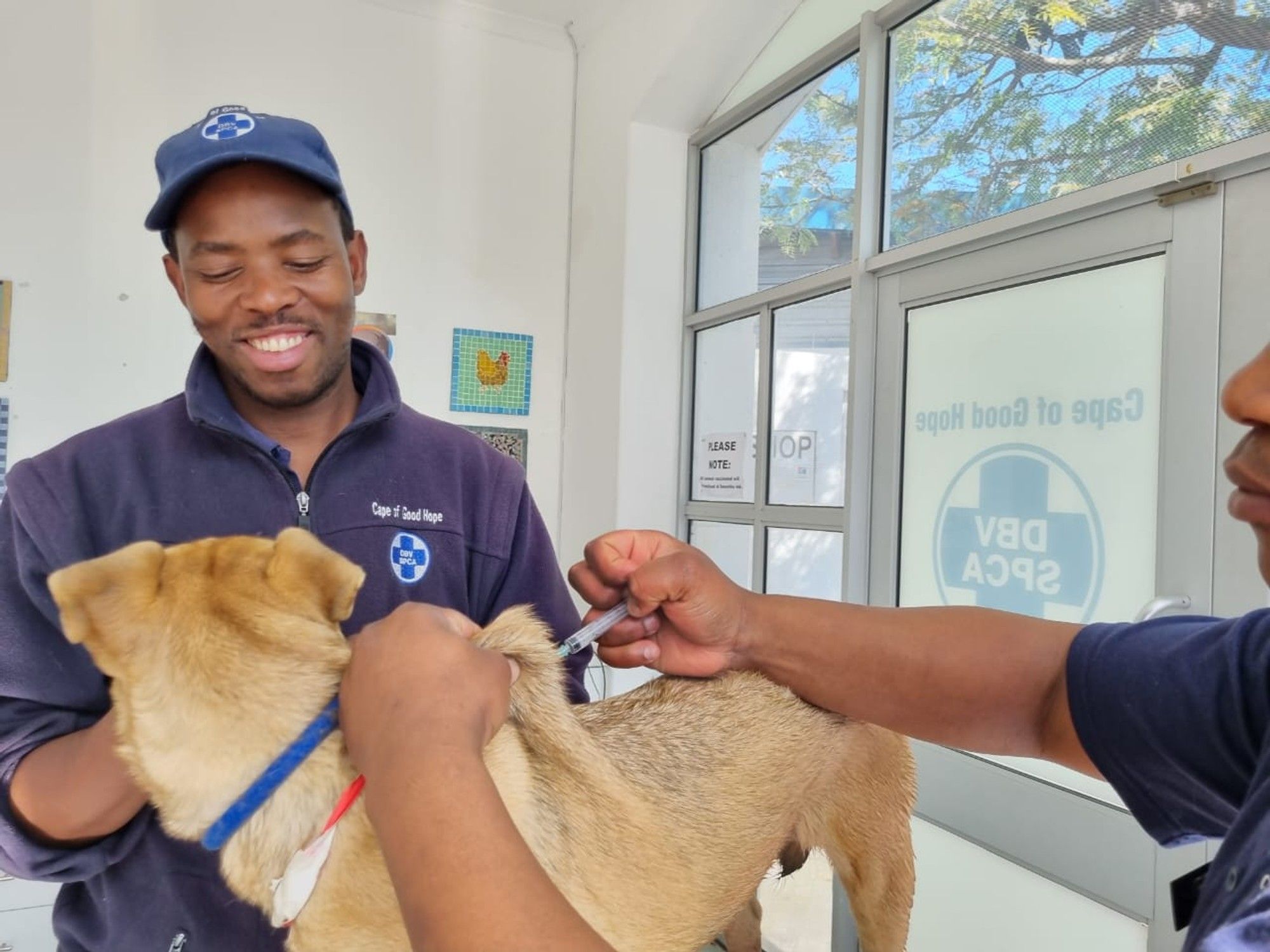 New rabies vaccine now available in South Africa amid ongoing shortage