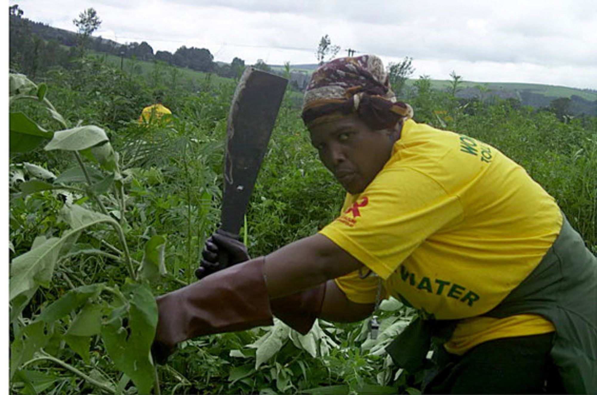 Award winning water project comes under fire