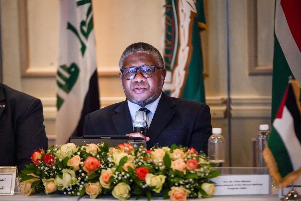 ANC shake-up: Mbalula 'targets Mashatile's influence' ahead of conference