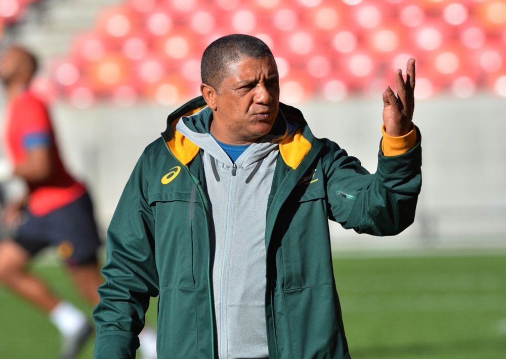 Ex-Springbok coach Allister Coetzee linked with Italian club Rovigo ...