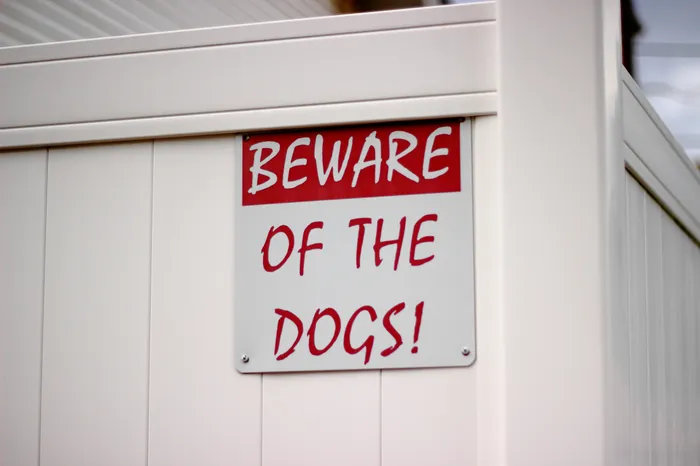 The hidden legal risks every South African dog owner should know about