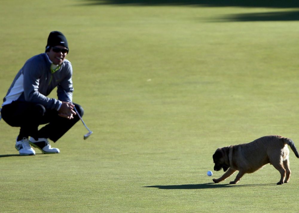 Pooch runs off with Casey’s ball