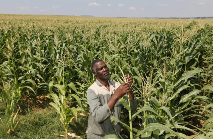 Every man’s land reform