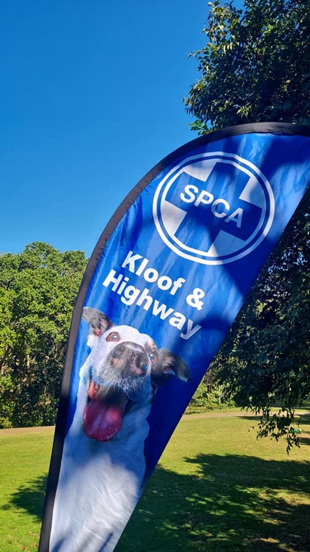Kloof and Highway SPCA seeks community’s help after ‘heartless’ and ...