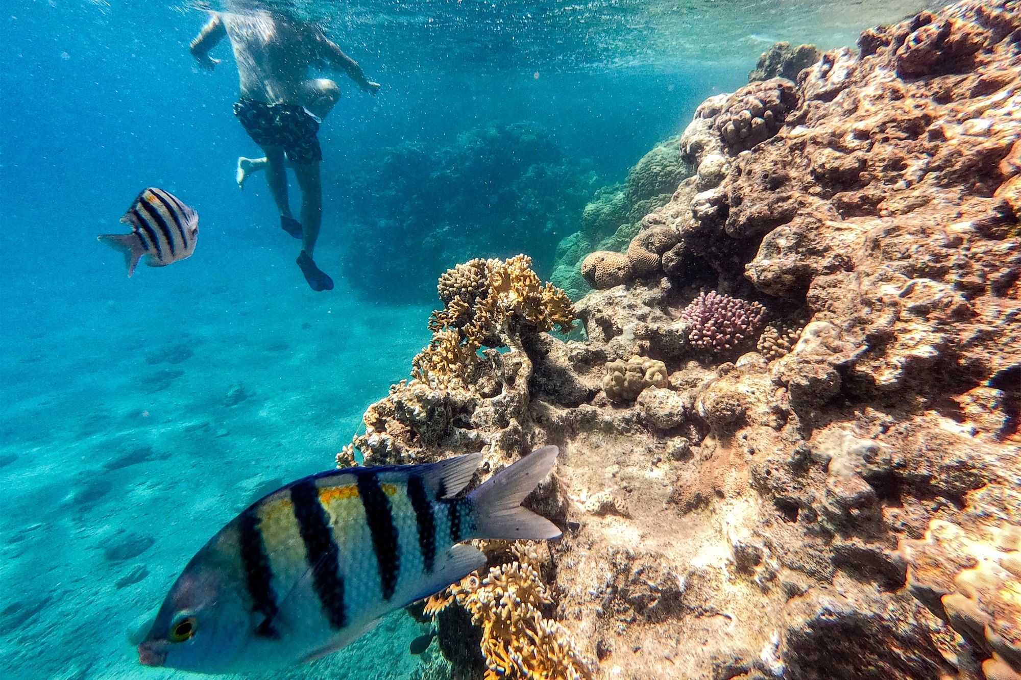 Three 'transformations' for nature, according to UN experts