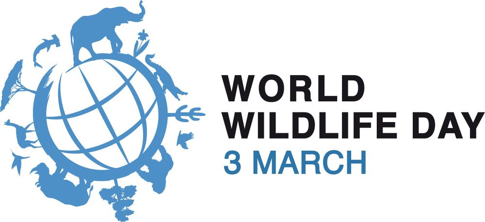 Five reasons conservation of the wild matters