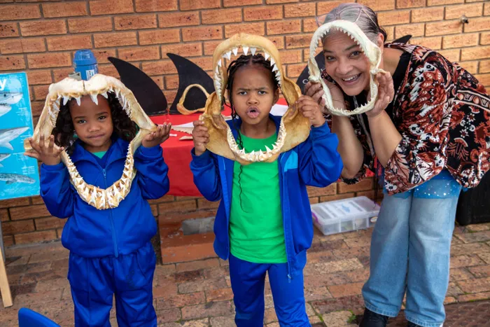 Celebrating World Play Day: How Cape Town Libraries foster learning ...
