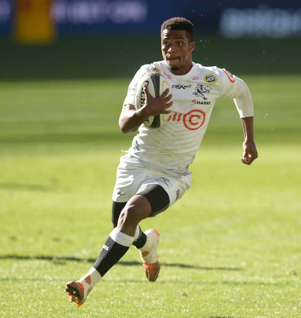 Will there be new faces in the Springbok squad?