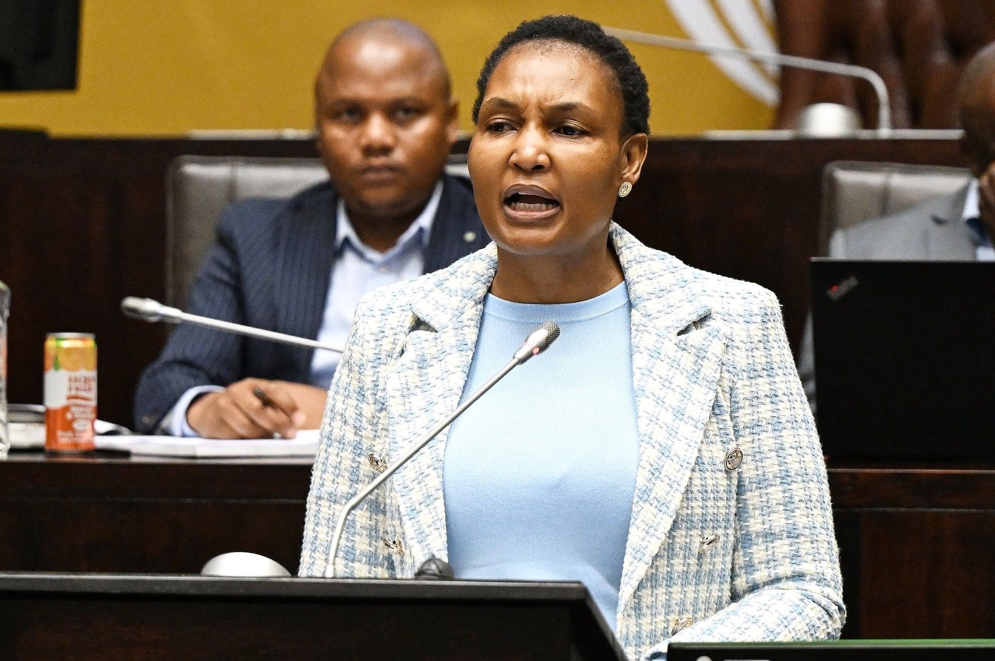 GNU Cabinet reshuffle by President Cyril Ramaphosa draws criticism