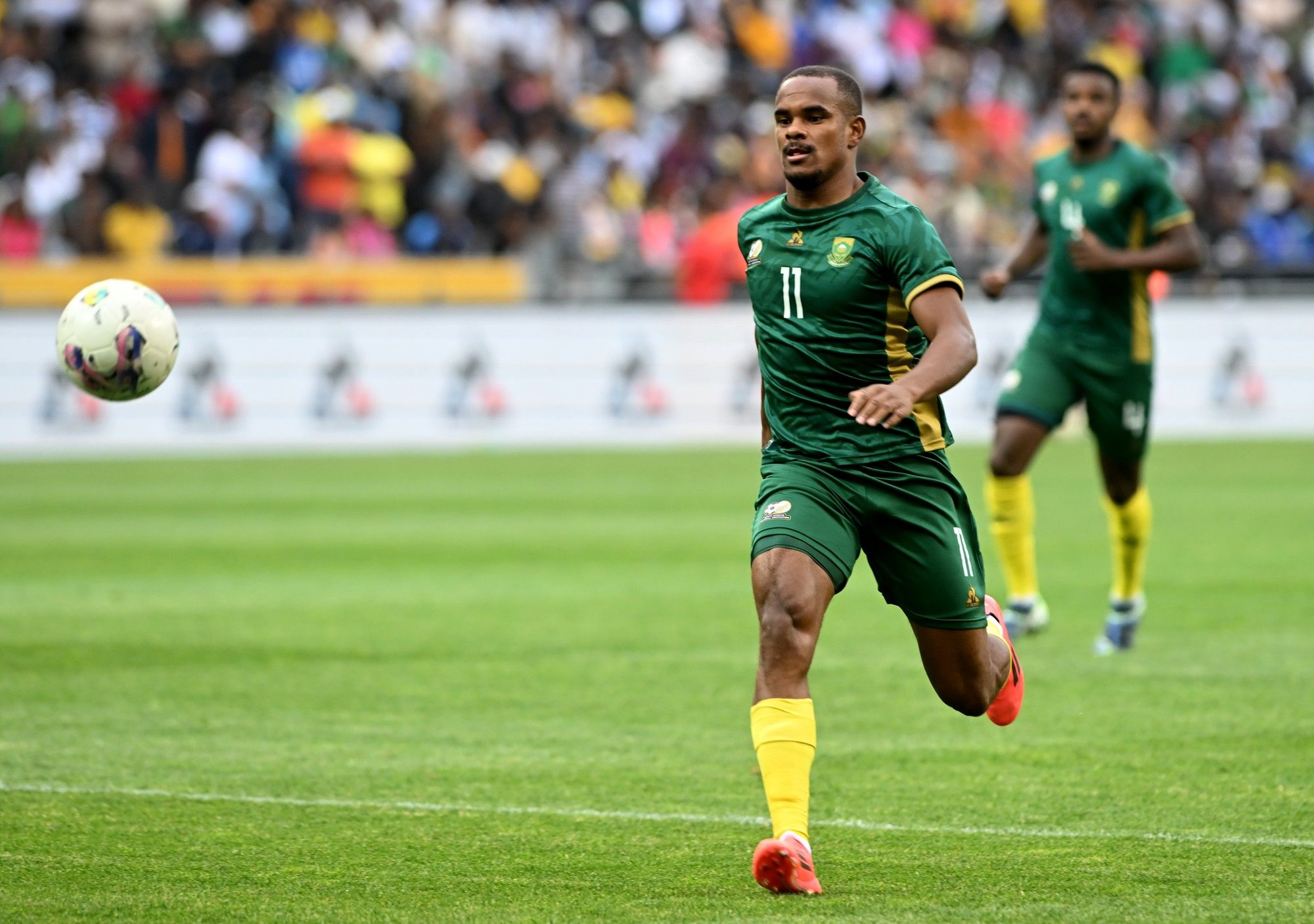 Everyone wants to see Bafana Bafana now, says elated Hugo Broos