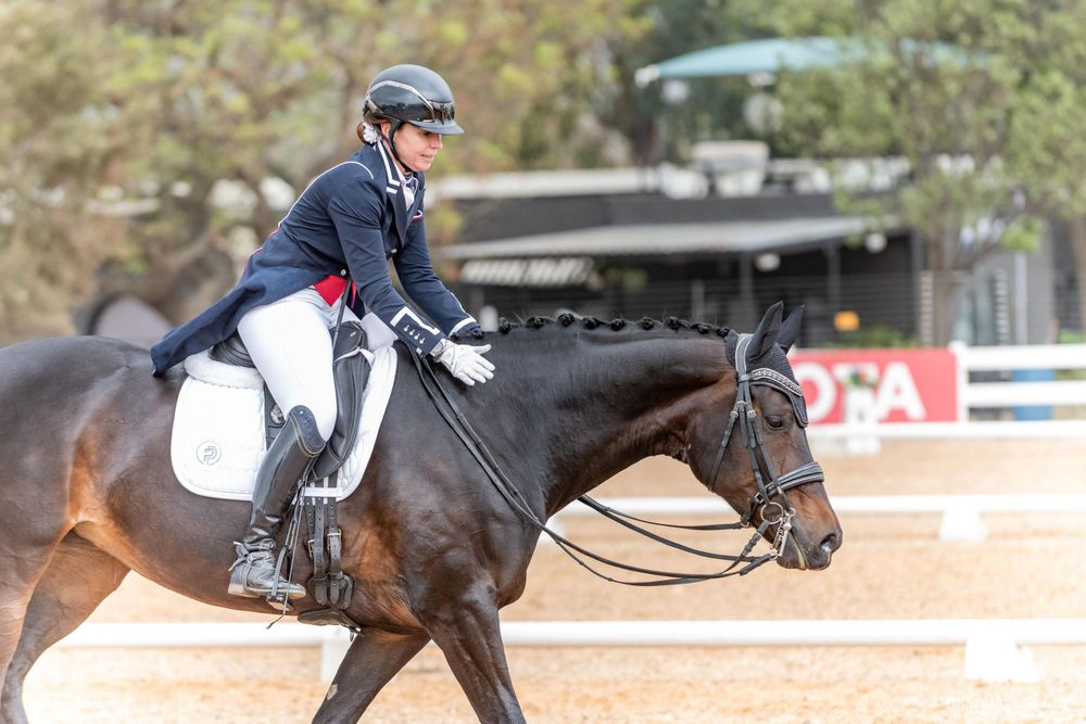 Kyalami Park Club gears up for the 2025 Toyota South African Dressage ...