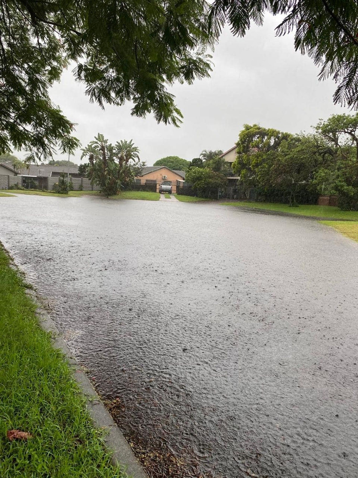 Understanding the recent rainfall patterns in KwaZulu-Natal