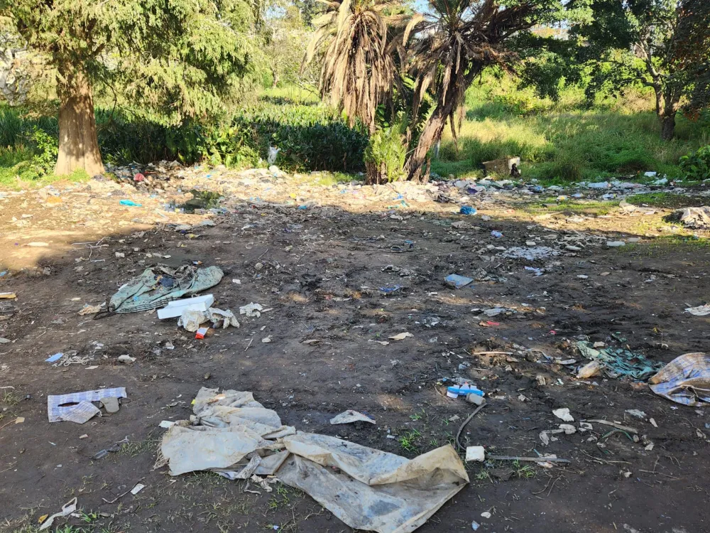 WATCH: Sydenham community pleads with eThekwini Municipality to clean ...