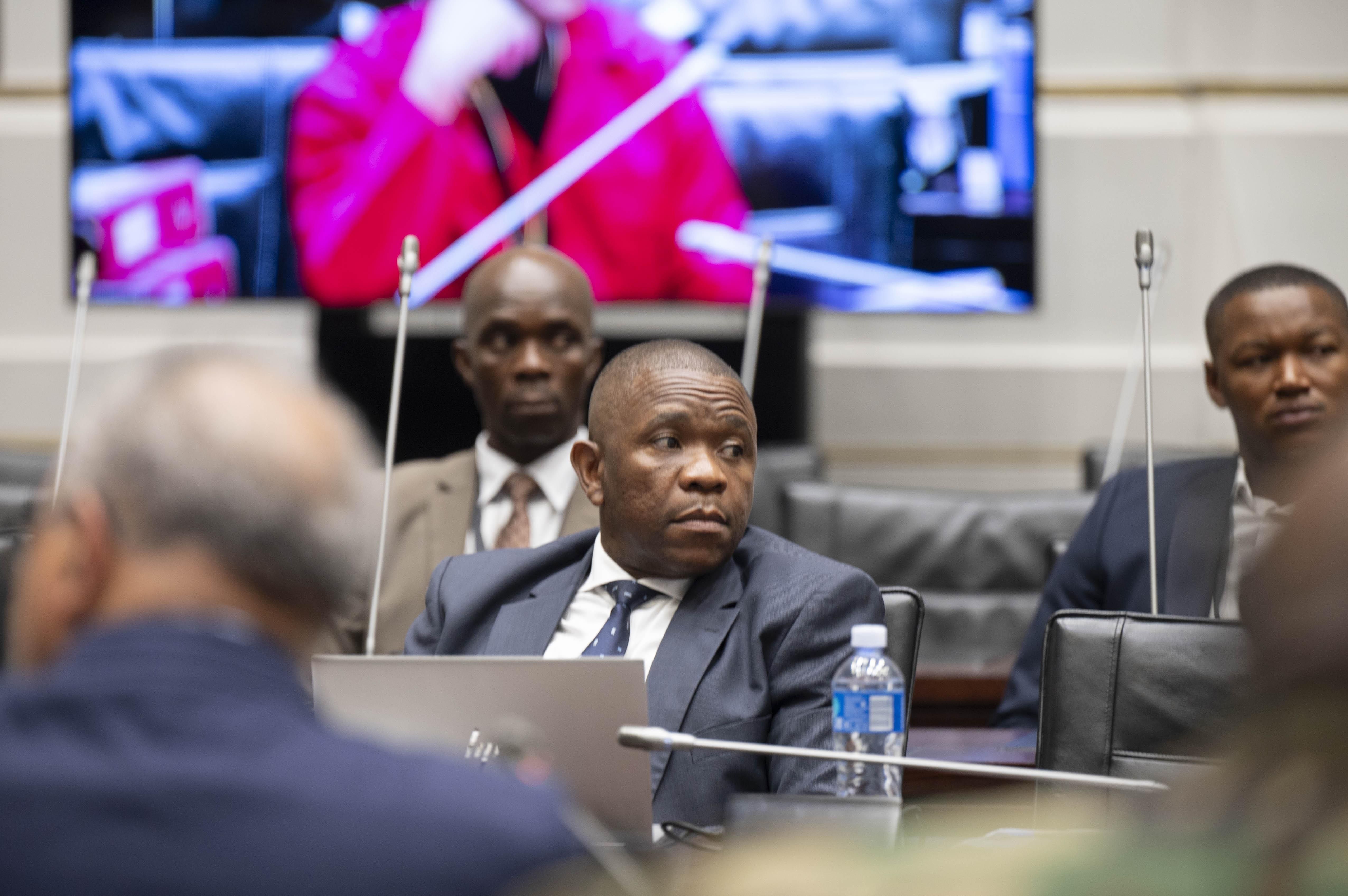 Mchunu' s chief of staff confirmed links with Mogotsi, says Mkhwanazi