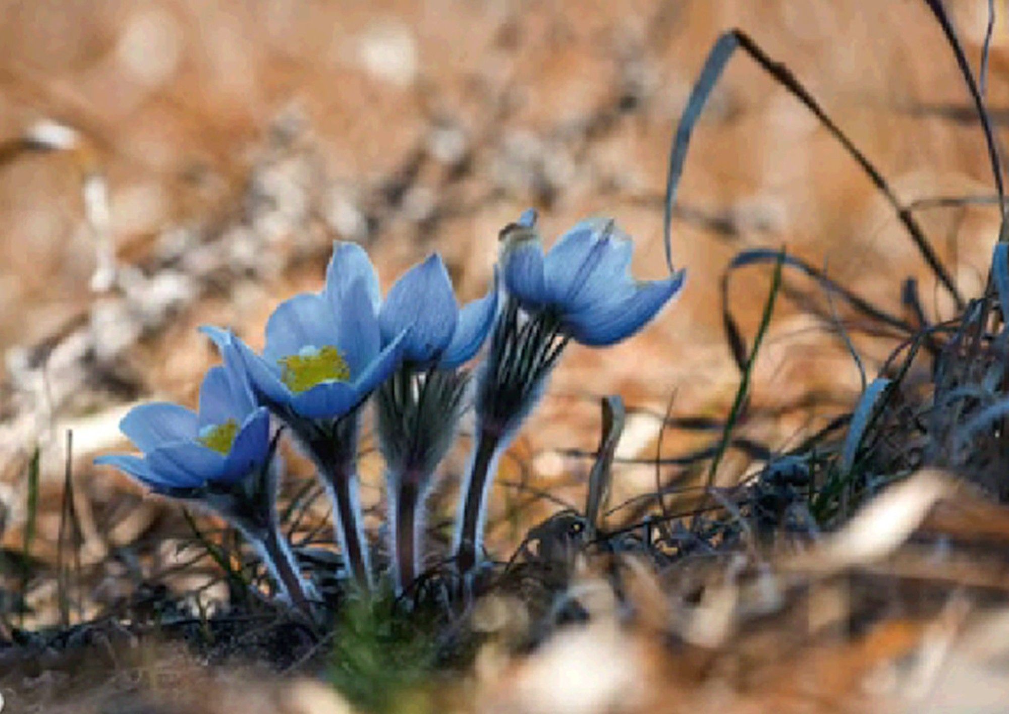 VIDEO: (93) Days of spring