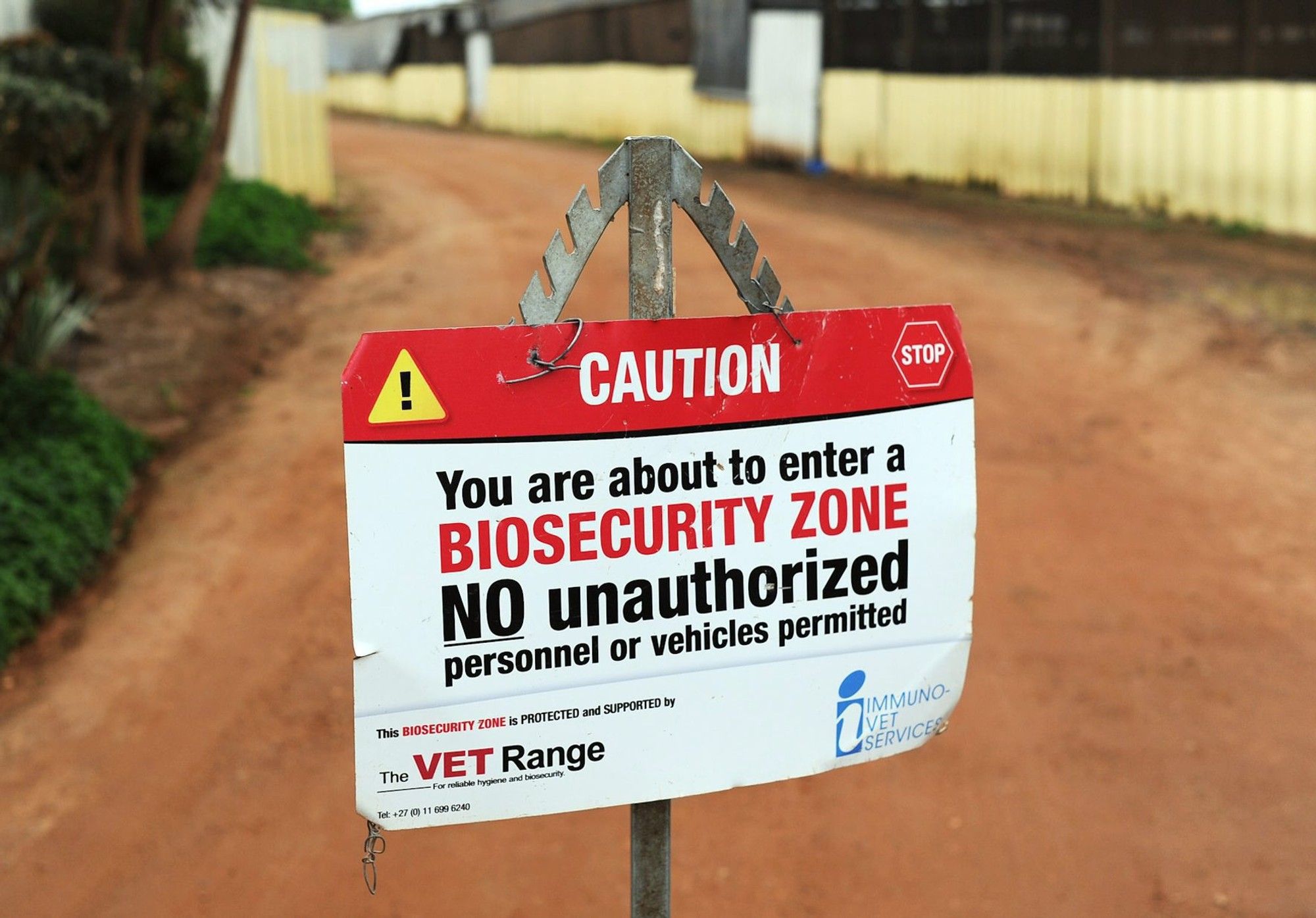 New bird flu outbreak confirmed in Western Cape: Urgent precautions advised