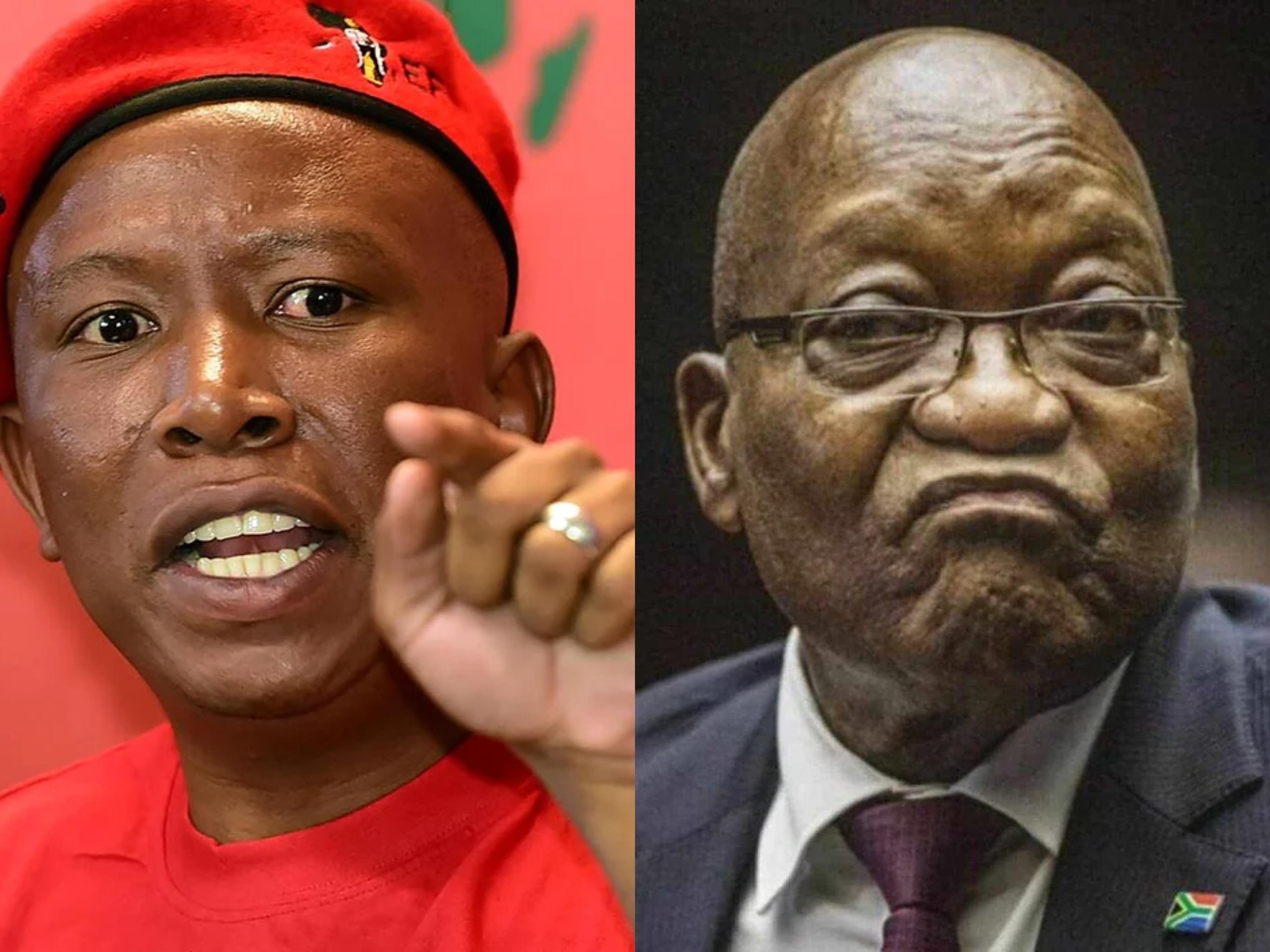 'Ungumthengisi,' kutsho uMalema egxeka uZuma