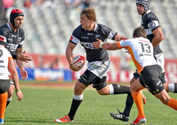 Sharks coach left to rue draw