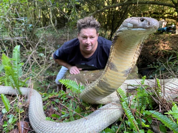 Anaconda, killer croc and a python: SA conservationist to spend 5 days ...