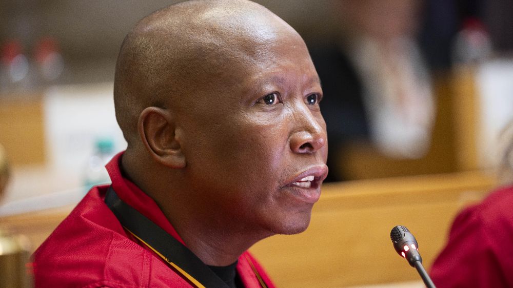 'Under-resourced' Ad Hoc Committee at risk, Malema warns Parliament