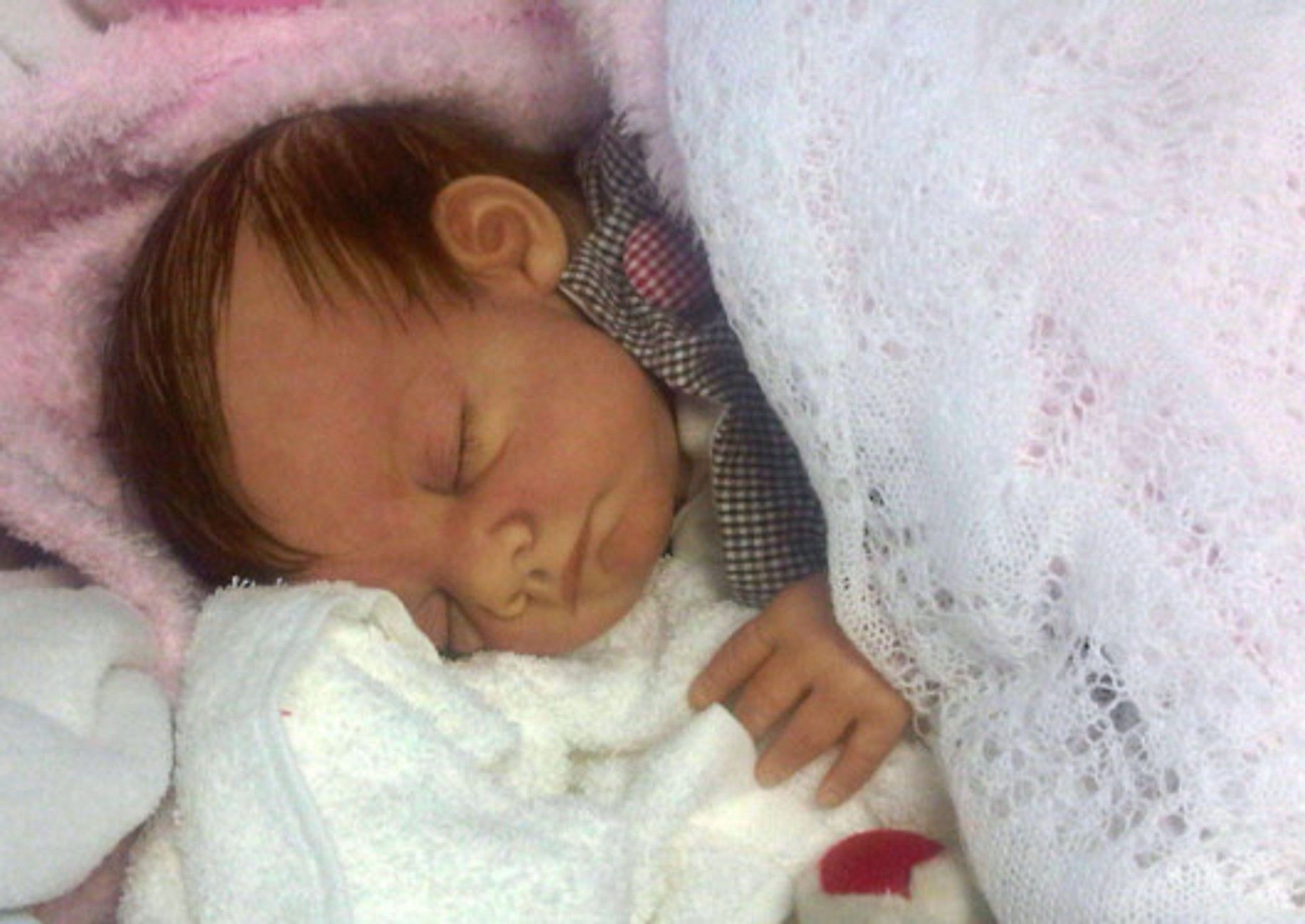 Reborn dolls are a big hit in SA