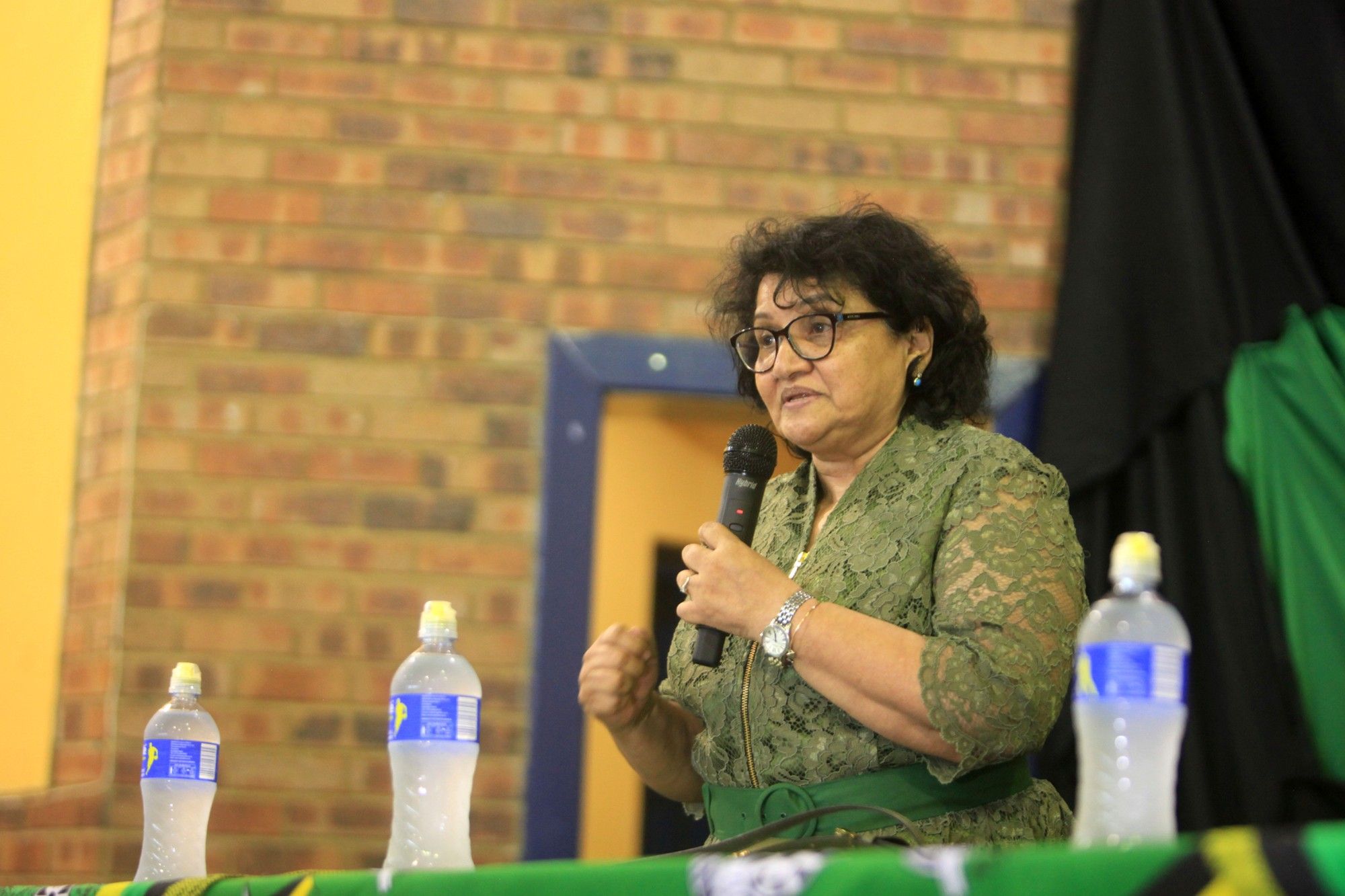 WATCH: Funding still a concern for ANC despite CR17 ruling, says Jessie ...