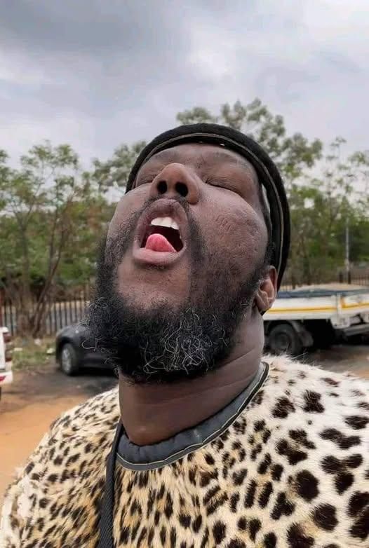 Inkomo noThibela embangweni wezinkomo