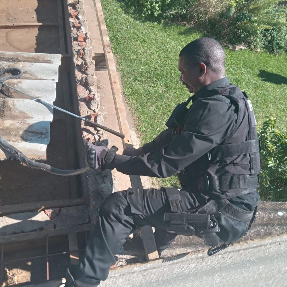 Reaction Unit SA rescues 2m black mamba in ceiling and tortoise during ...