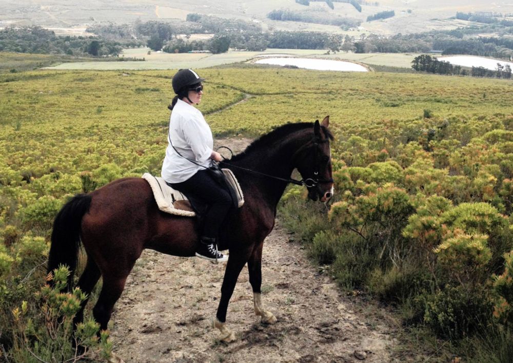 Arabella will put you in the saddle