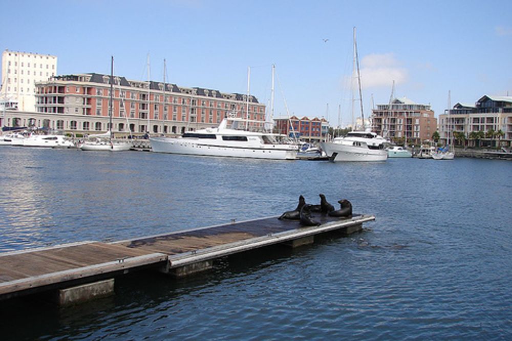Conferences galore for Mother City