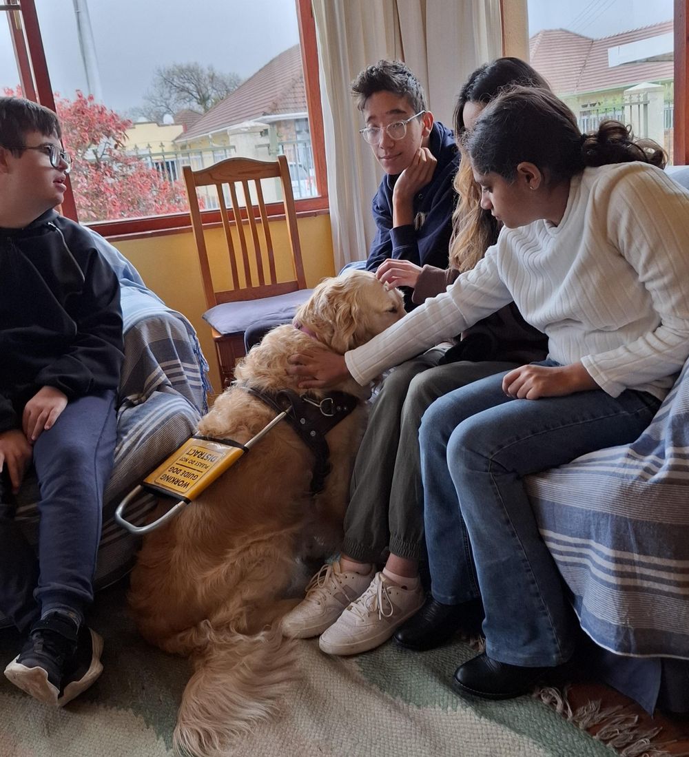 Heatherton House welcomes Goldie, the guide dog from the South African ...