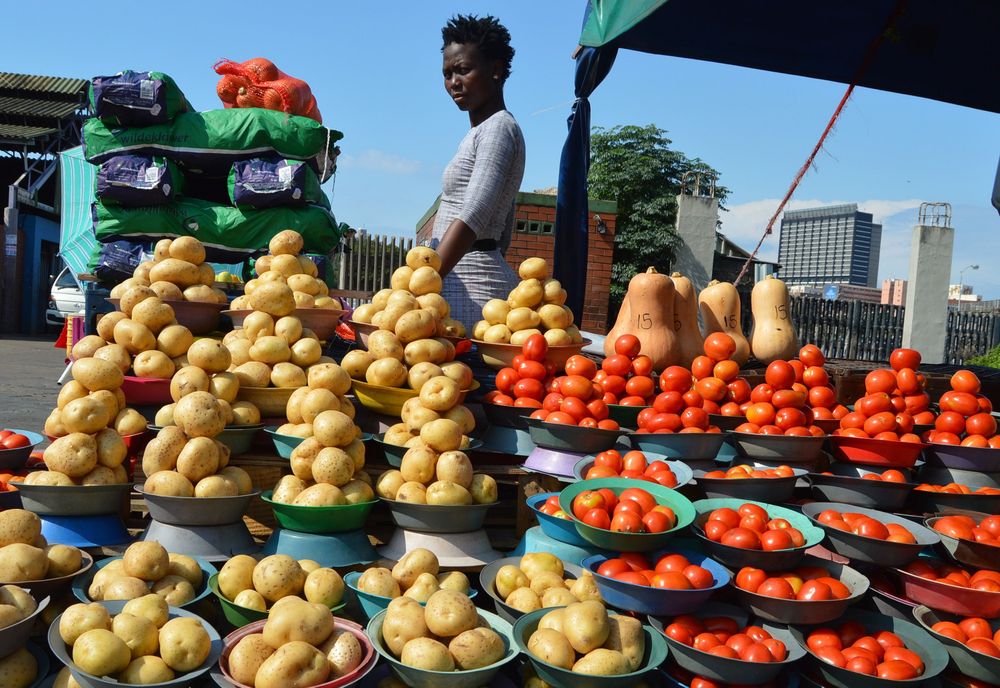 Joburg informal traders demand restoration of livelihoods after permit ...