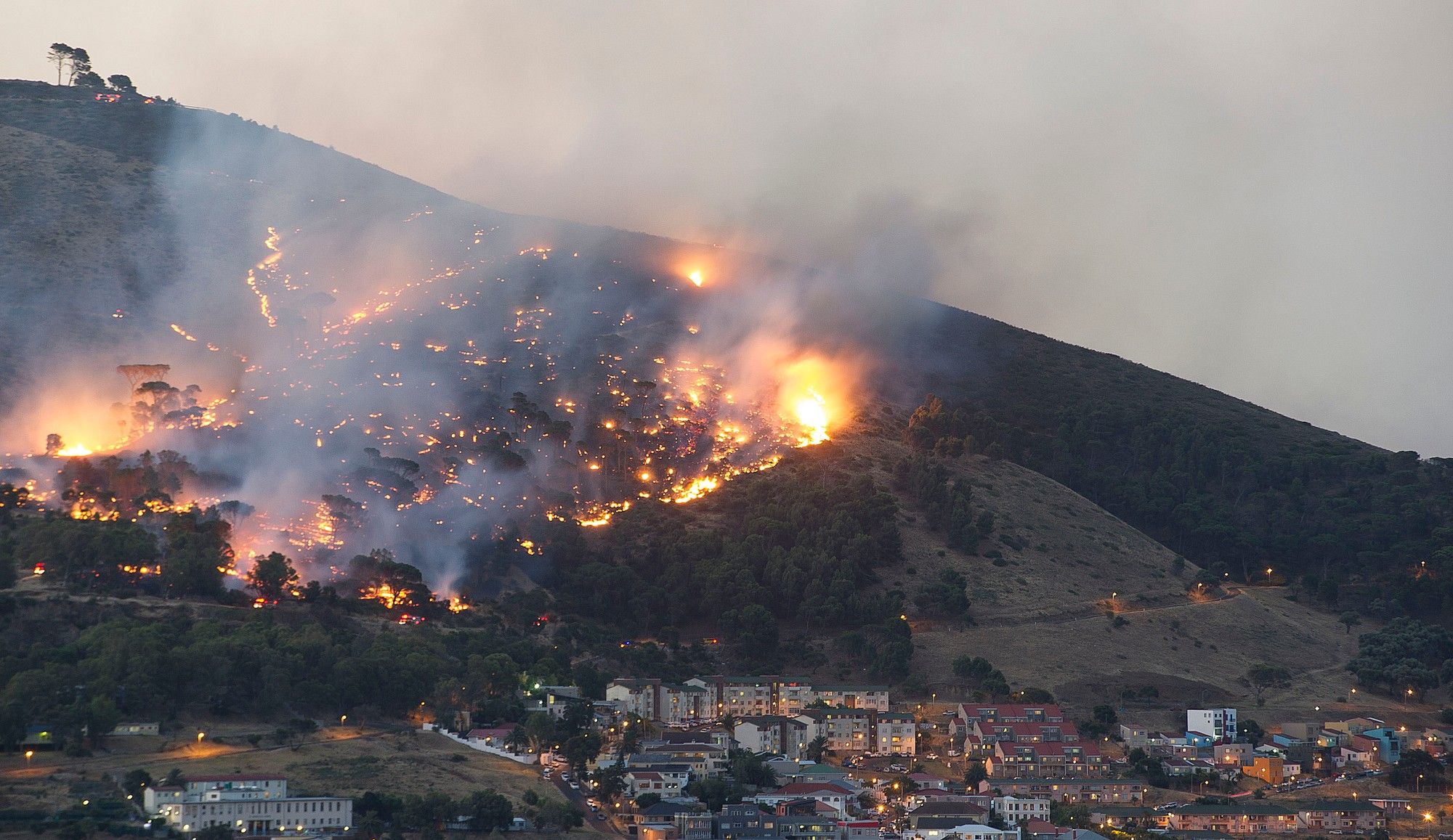 WATCH: Firefighters battle Signal Hill fire