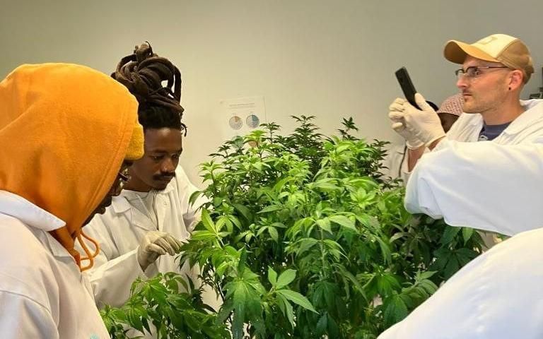 Cheeba launches South Africa's first accredited Higher Education ...