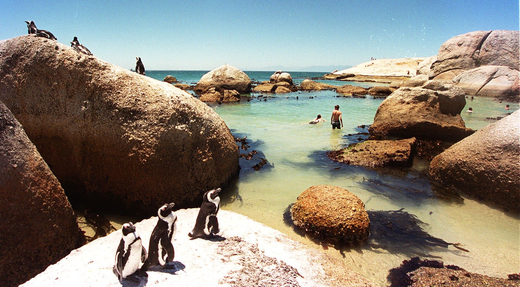 Cape Town’s Boulders Beach ranked second among world’s top 100 beaches
